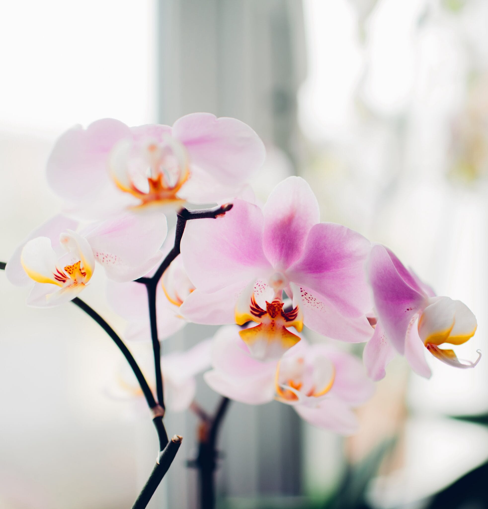 doctor reuter medical center - your home for healthcare